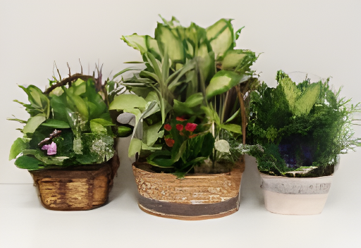 Products - Planters - European Gardens | Tropical Foliage Plants, Inc.